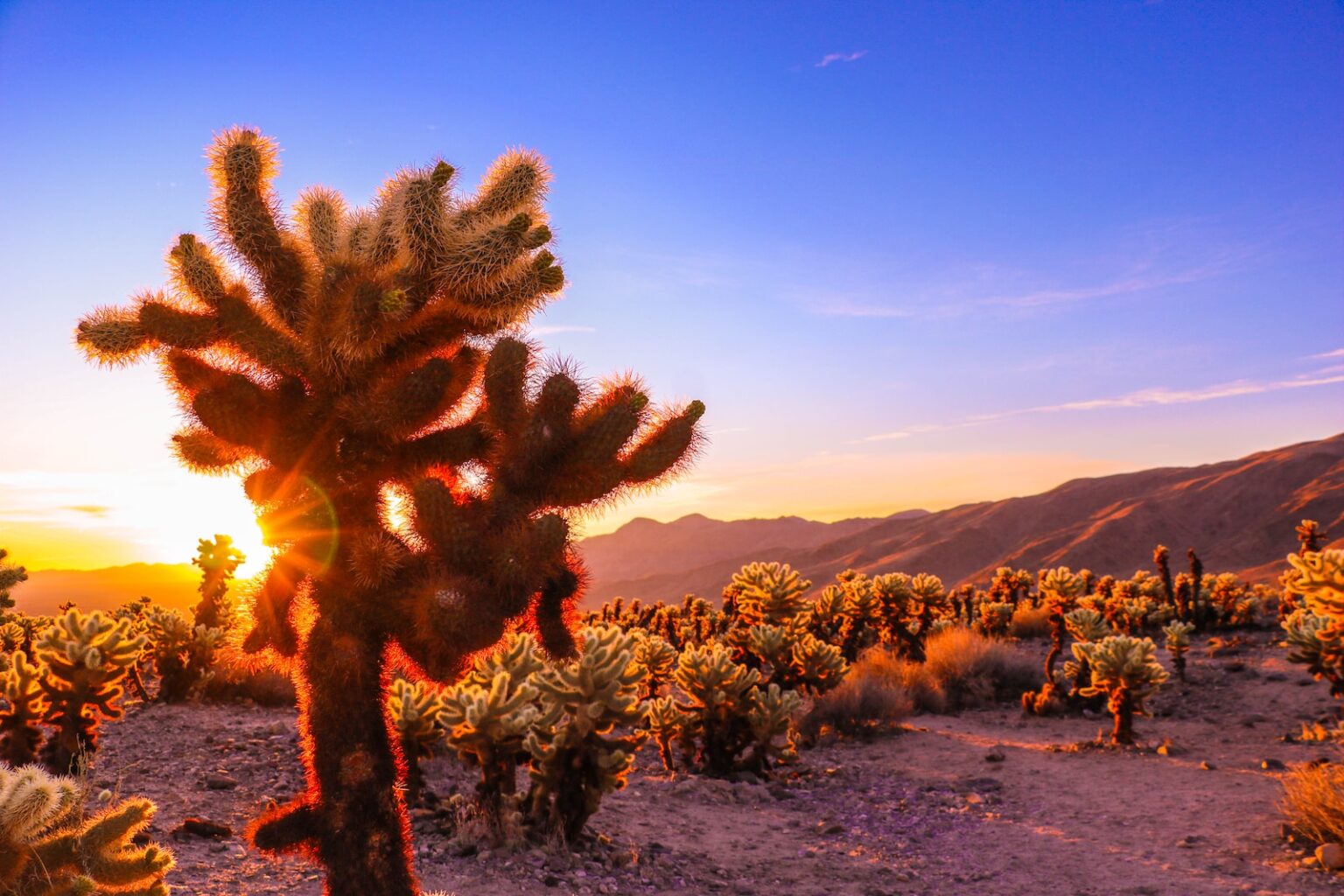 Discover the Best Hiking Trails in the High Desert • CoolContrast.com